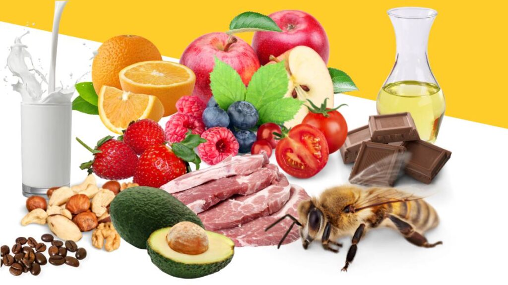 No Bees No Food?! - Bee-Aware